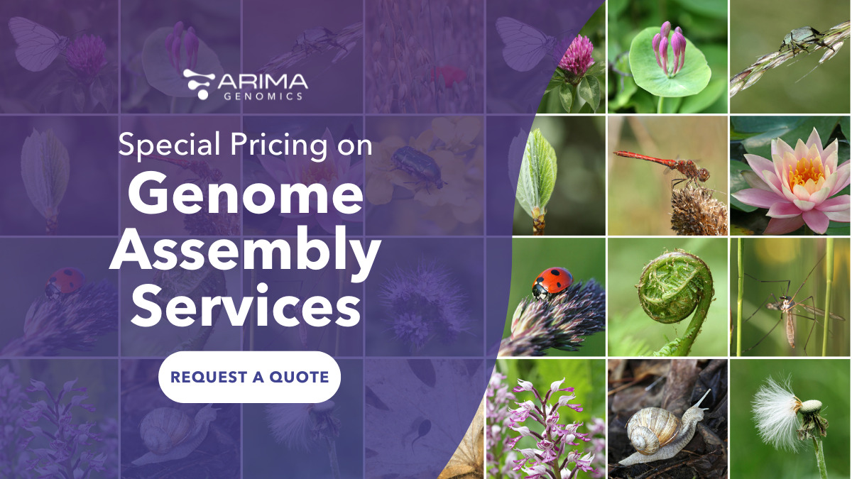 Genome Assembly Services Promo – Arima Genomics