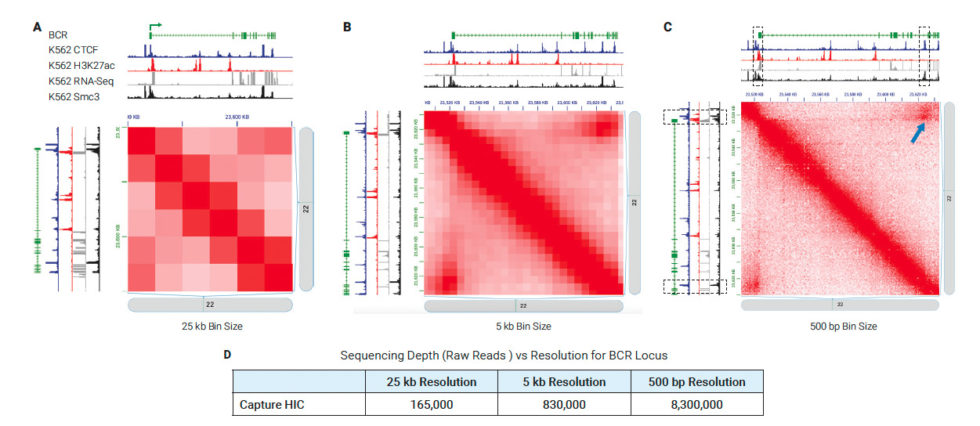 Custom Capture HiC – Arima Genomics