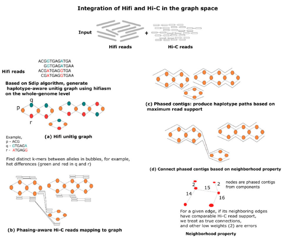 Novel Sequencing And Computational Methods Provide Precise