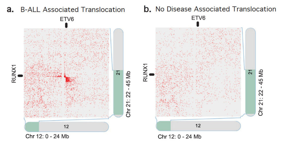 Structural Genomics – Arima Genomics Structural Genomics – Arima Genomics