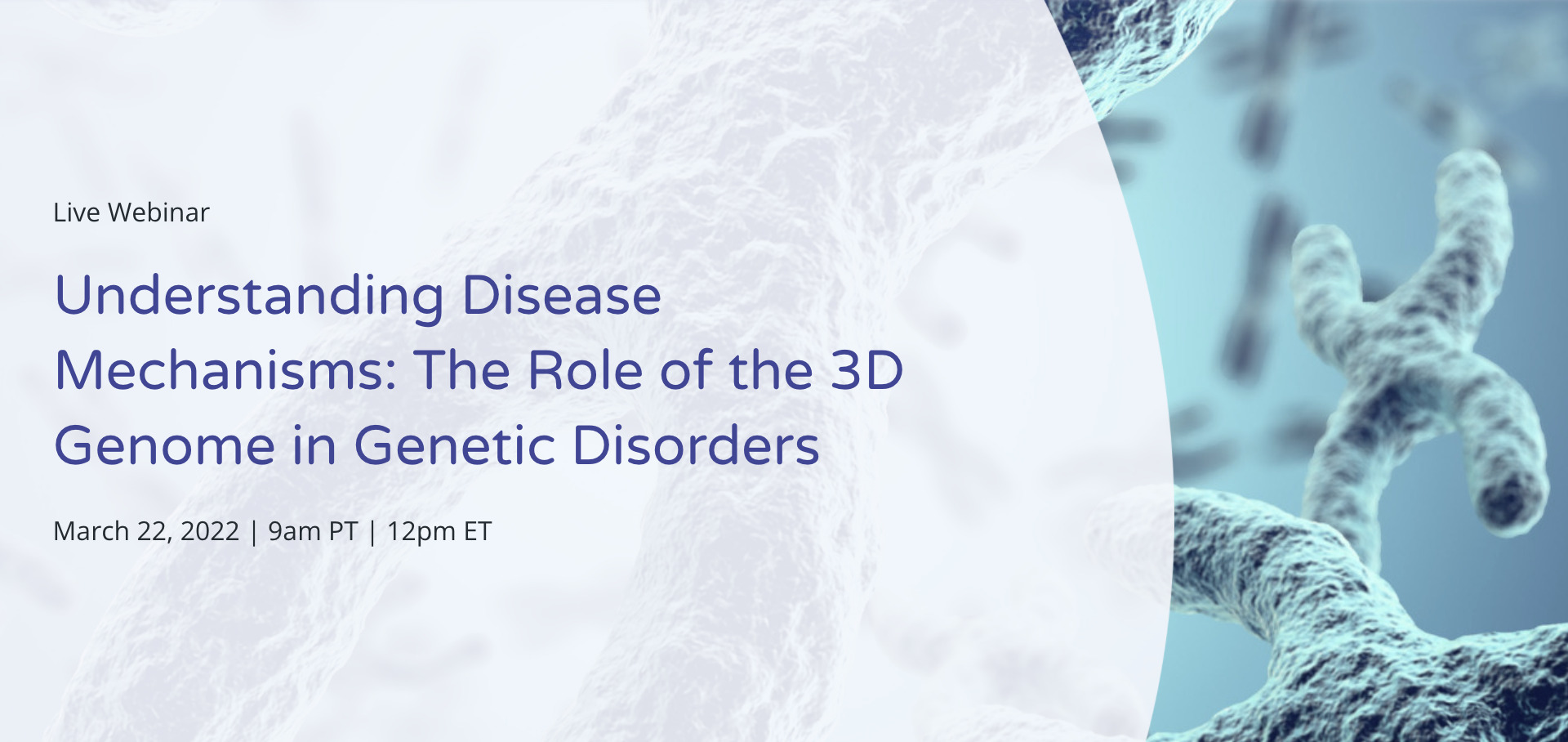 Understanding Disease Mechanisms: The Role of the 3D Genome in Genetic ...
