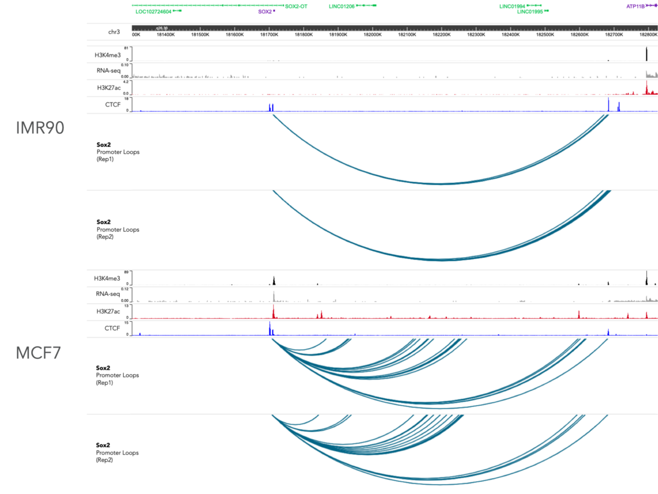 Arima Promoter Capture Panel