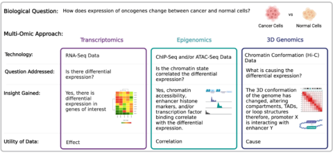 How 3D Genomics Can Strengthen Your Multi-Omics Approach to Scientific ...