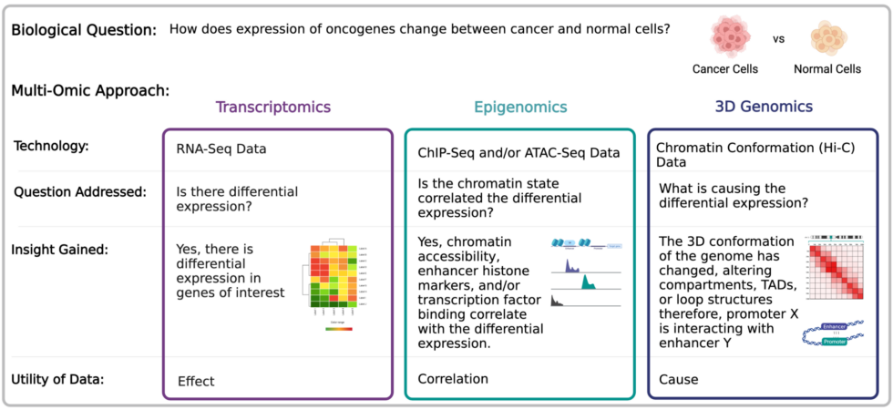How 3D Genomics Can Strengthen Your Multi-Omics Approach to Scientific ...
