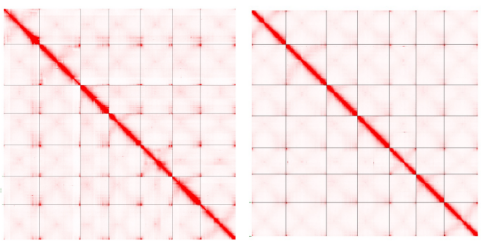 Defining A High Quality Genome Assembly And How Hi C Can Get You There