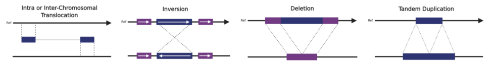 Structural Genomics – Arima Genomics